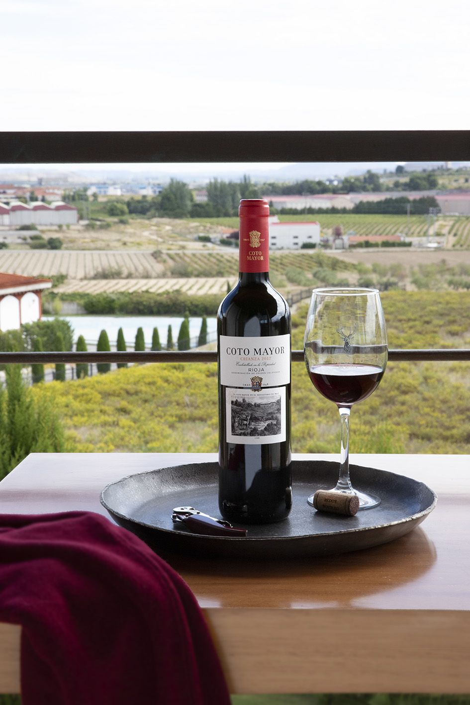 Coto Mayor Crianza: tinto Rioja equilibrado y aromático